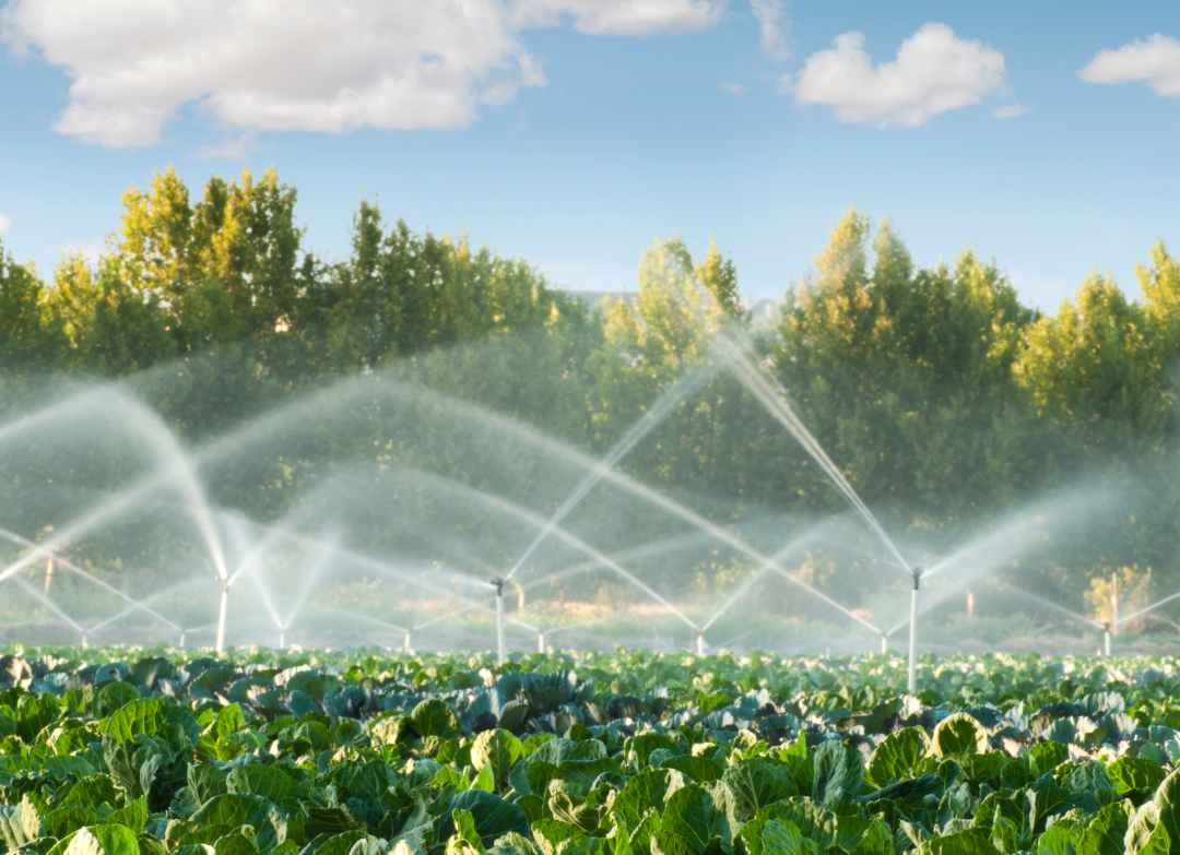 Best Irrigation Installation in Port Charlotte, FL - Shaffer's Irrigation