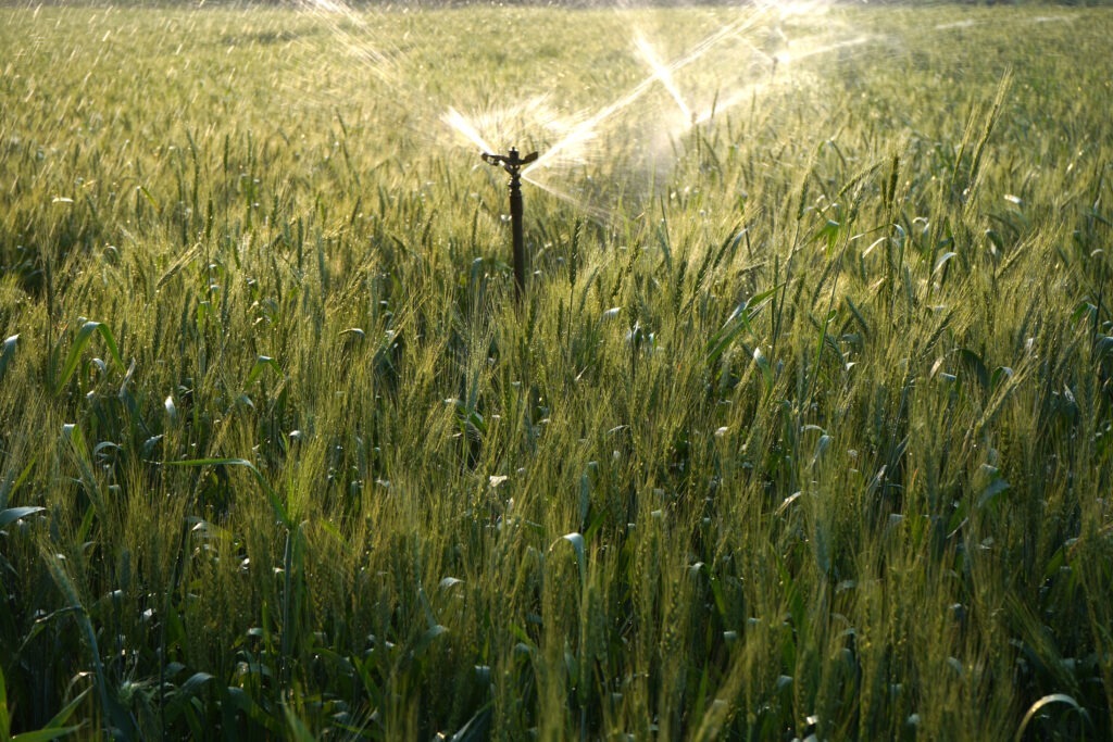 How Do I Figure Out Where My Sprinkler System Is Failing? - Shaffer's ...